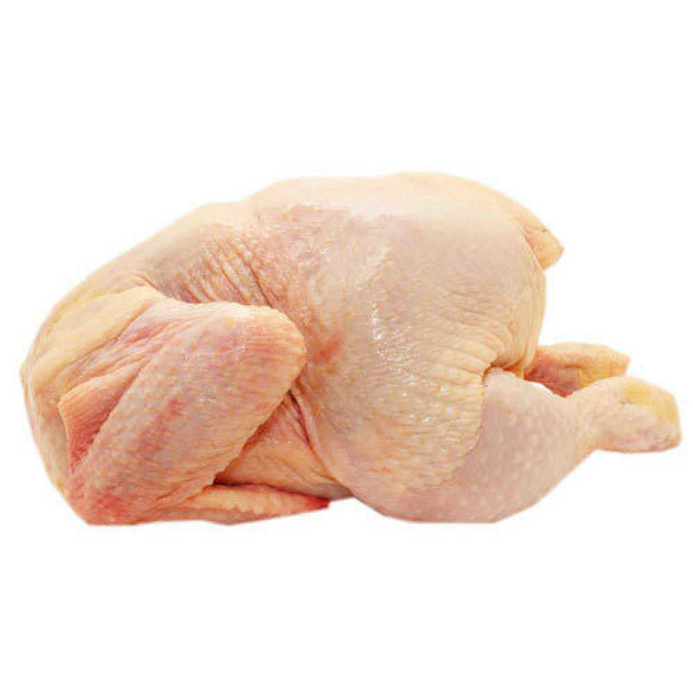 Buy Online Perdix Frozen Chicken Griller, 1.3kg - Carton of 10 Pcs in ...